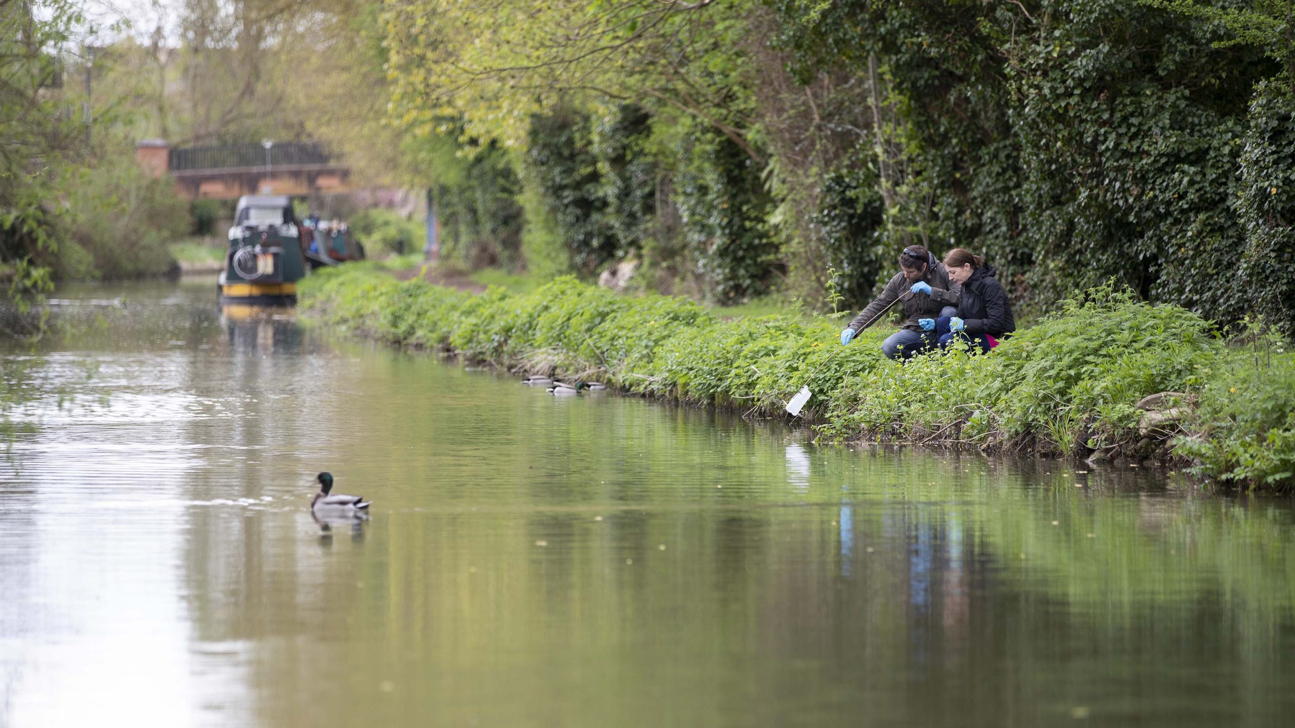 Freshwater watch training: Ock catchment - Thames21 Limited